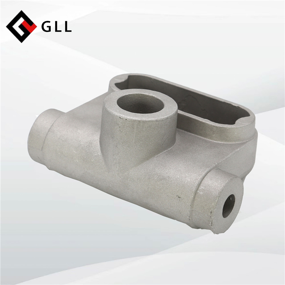 Aluminum die-casting automobile engine housing-Genleelai